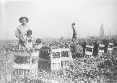 Exclusion or Inclusion: The Japanese Struggle to Own Land in California ...