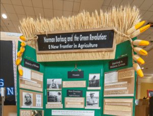 Exhibit Project Example 3: Norman Borlaug and the Green Revolution: a ...